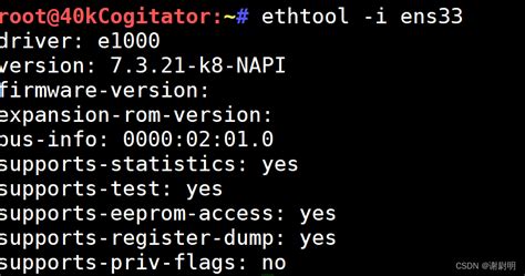 Linux 网络 与dhcp的简单配置ethtool Dhcp Csdn博客