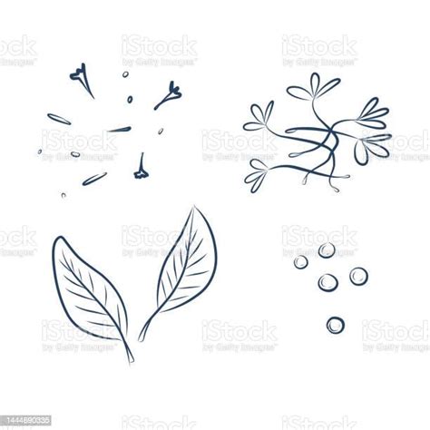 향신료 수집 마이크로 그린 바질 검은 후추 향신료 세트 천연 조미료와 요리 재료 흰색 배경에 격리된 벡터 그림 검정후추 열매에 대한 스톡 벡터 아트 및 기타 이미지 Istock