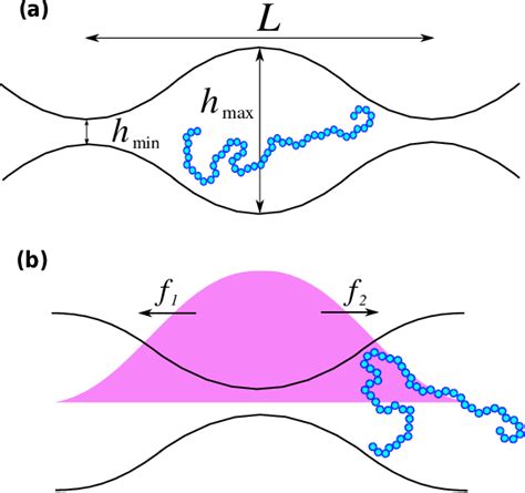A Schematic Representation Of A Polymer Moving Inside A Download