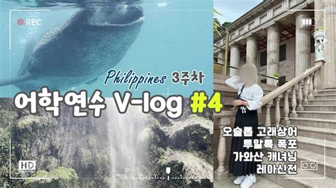 어학연수 V Log 4 필리핀 3주차 고래상어는 진짜 크고 가와산은 너무 빡세ㅠ 오슬롭고래상어가와산캐녀닝투말록폭포