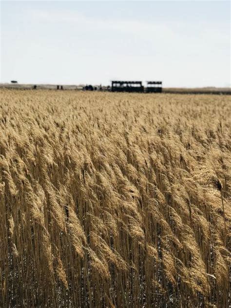 아침을 여는 고요하고 웅장한 한국 감성 한국 분위기 사진 11탄 인스티즈 Instiz 인티포털 카테고리