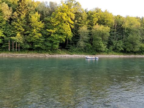 मनातले पानावरसुप्रिया देवस्थळी Supriya Devasthali आर