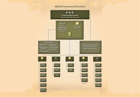Army Unit Organizational Chart My Xxx Hot Girl