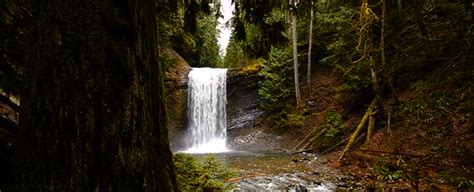 Cinemagraph Waterfall Gif Wifflegif