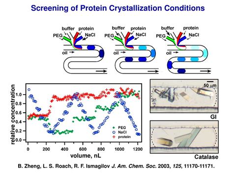 PPT Rustem F Ismagilov Department Of Chemistry The University Of Chicago NIH March