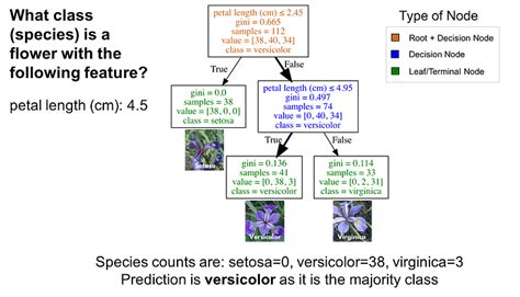 Visualiser Les Arbres De Décision Avec Python Scikit Learn Graphviz