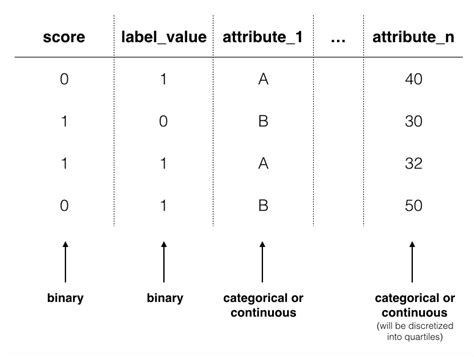 Understanding Input Data Aequitas Documentation