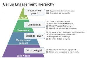 Gallup Organization Employee Engagement Organizational Behavior