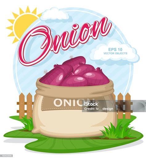 삼 베 자루에 익은 빨간 양파 신선한 야채와 함께 전체 자루 여름 정원에서 수확 가방 가방에 대한 스톡 벡터 아트 및 기타 이미지 가방 과일 구근 식물 Istock