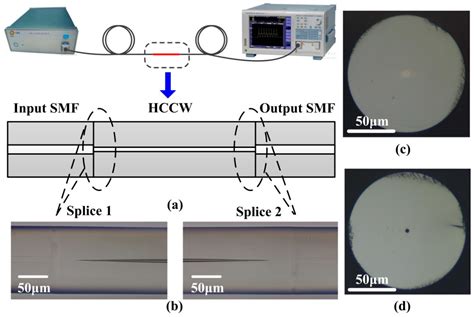 Self Imaging Effect In Liquid Filled Hollow Core Capillary Waveguide For Sensing Applications