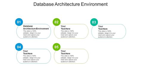 Database Architecture Environment Ppt Powerpoint Presentation Gallery Information Cpb