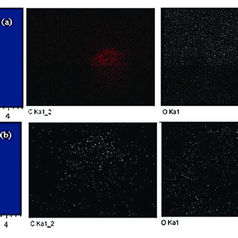 sem edx image of a pdms pu blend 95 5 b pdms pu 95 5 with 3