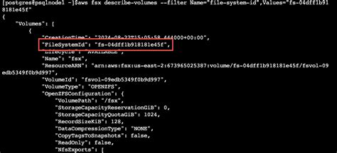 Enhance Postgresql Resiliency And Recoverability Using Amazon Fsx For
