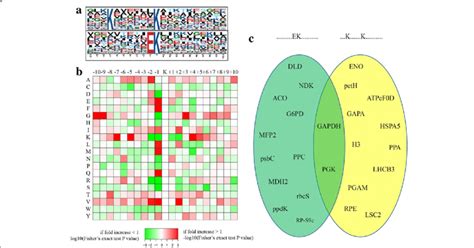 Bioinformatic Analysis Of Lysine Succinylation Sites In D Officinale