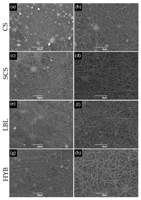 Multilayer Electrospun Scaffolds Of Opposite Charged Chitosans