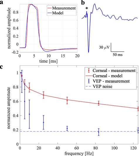 In Vivo Validation Of The Model Far Field Electric Potential In The
