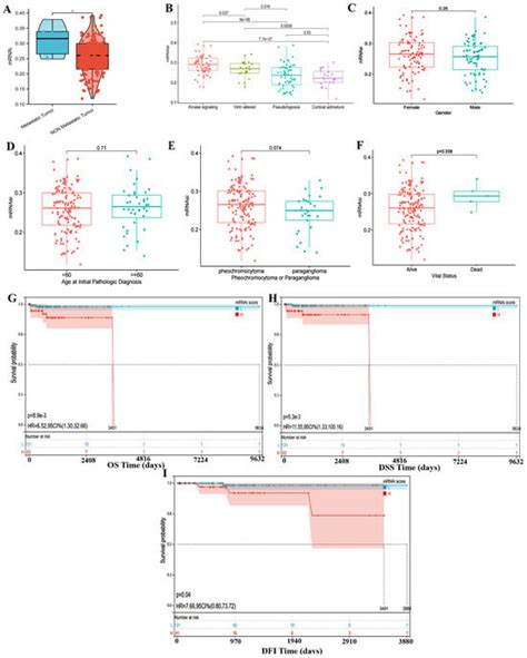 Bioengineering Special Issue Recent Advances In Cancer Bioinformatics