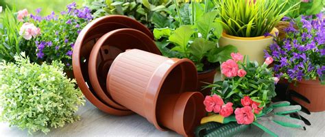Garden Master