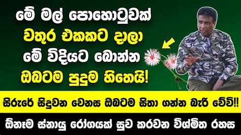 මෙන්න මේ මල් පොහොටුවක් වතුර එකකට දාලා බොන්න ඔබේ සිරුරේ සිදුවන වෙනස ඔබටම සිතා ගන්න බැරි වේවි
