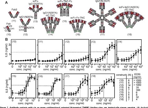 Figure 1 From Generic Design Principles For Antibody Based Tumour