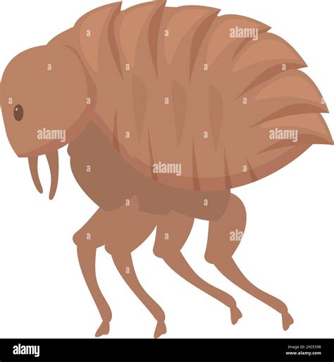 Brown Flea Is Walking In Side View With Its Tiny Hairs Visible Stock