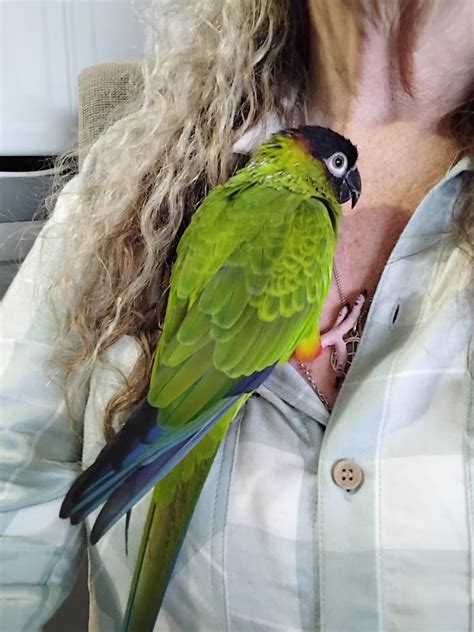 Daniel Beveridge Facebook