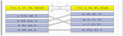 mysql关系（二维表）的设计规范，范式 程序员大本营
