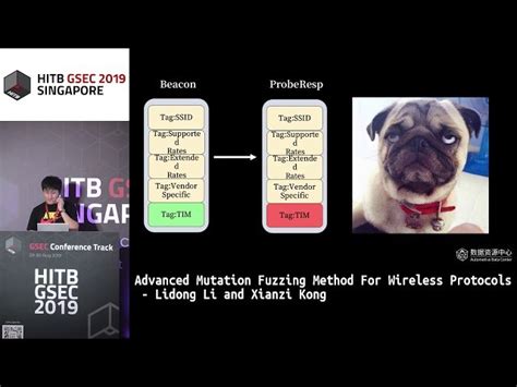 Hack In The Box Security Conference Talk Advanced Mutation Fuzzing