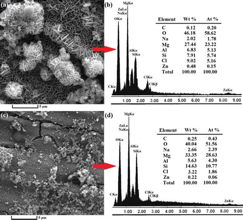 The SEM Micrographs Of Corroded Samples After Immersing In NaCl Download Scientific