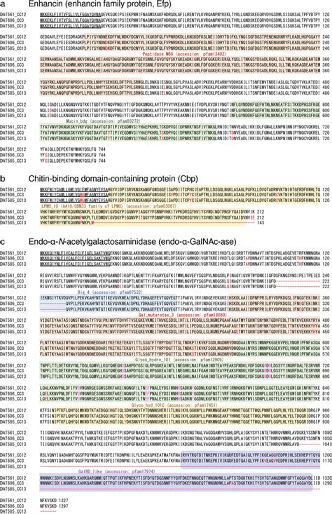 Multiple Sequence Alignment Of Enhancin A Chitin Binding