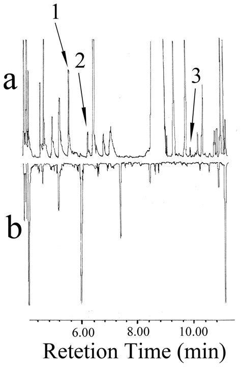 Reconstructed Gc Ms Total Ion Chromatograms Of The Volatile Organic