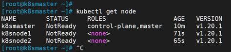 Build A K8S Cluster With Single Master And Multiple Node S In Kubedm Mode K8S Version V1 20 1