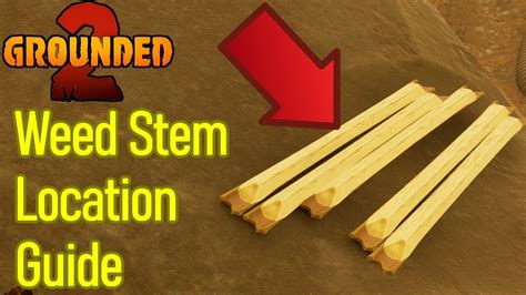 Grounded 2 Weed Stem Location Guide How To Get Weed Stems Youtube