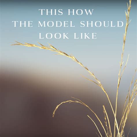 Mesh Why Is My Asset Appearing As Non Transparent Blender Stack Exchange