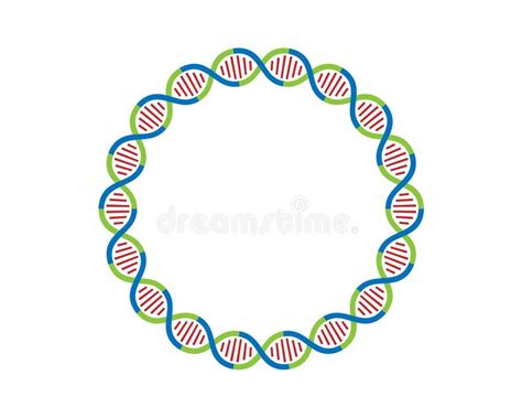 Dna Loop Stock Illustrations 2179 Dna Loop Stock Illustrations