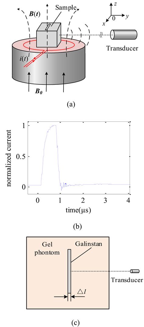 Experimental System And Sample A Schematic Of Experimental System Download Scientific