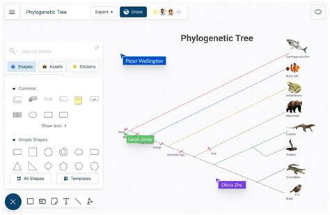 Simple Primate Phylogenetic Tree