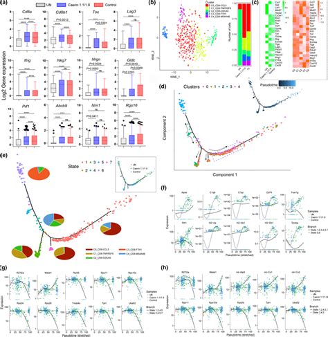 Comparison Of CD Tcell Marker Genes With Two Treatments And State Download Scientific