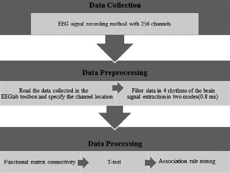 Figure 1 From Investigation Of Functional Brain Connectivity By Electroencephalogram Signals