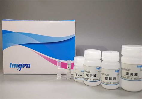 Shanghai Iven Medical Technology Coltd Has Wide Range Of Saliva Total Rna Extraction Kit