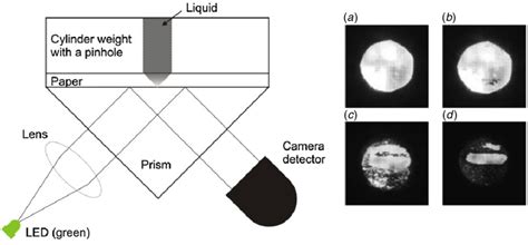 Schematic Setup Of The Measurement System Based On Reflectometry The Download Scientific