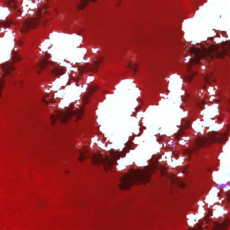 Illustrations Of Segmentation Proposals From A Local Perspective 1 Download Scientific