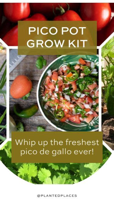 Pin On Edible Gardens