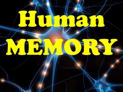 Human Memory Psychology PPTX Internet For Beginners Internet