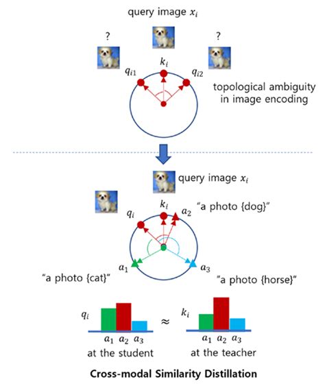 [neurips 2022] transferring pre trained multimodal representations with
