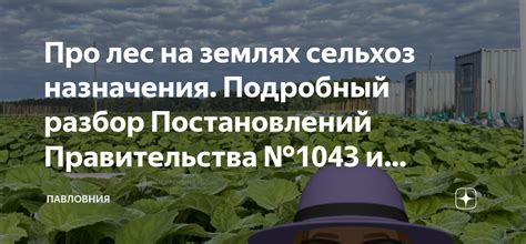 Про лес на землях сельхоз назначения Подробный разбор Постановлений Правительства №1043 и №1509