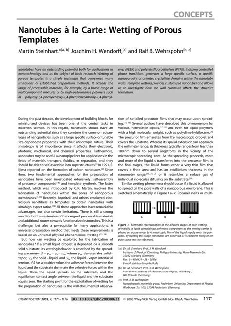 Pdf Nanotubes à La Carte Wetting Of Porous Templates Dokumen Tips