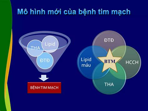 RỐI LOẠN LIPID MÁU PPTX
