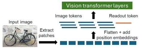 Diffusion Transformer And Rectified Flow Transformer For Conditional Image Generation By Erik