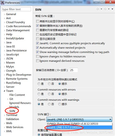 Svn 错误：svn E200007 Checkout Can Only Be Performed On A Version Resource 解决办法实录打印出现the Version